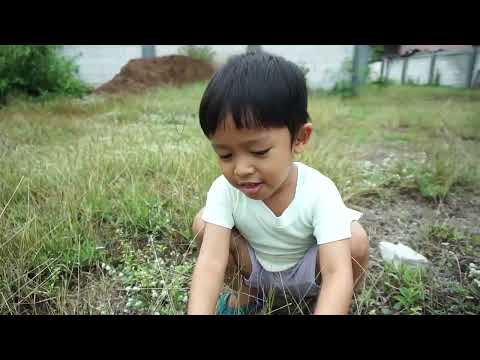 BOCIL#2 Berburu Kupu-Kupu Kecil di Lapangan || - hobbyadventure