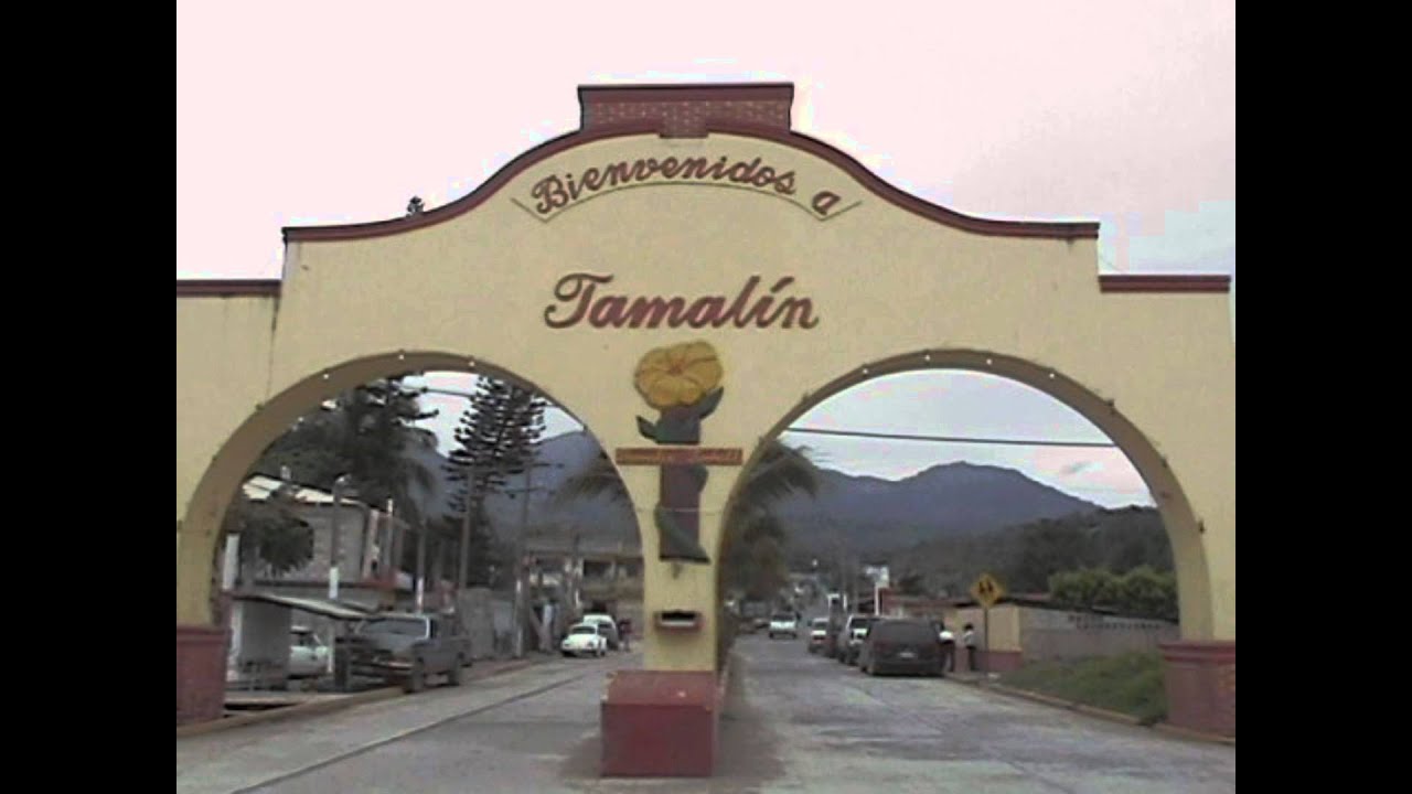 trio tamalin el caiman - YouTube