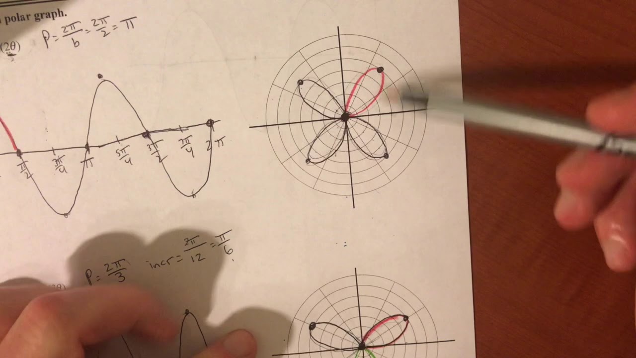Polar Graphs: Rose Curves [Part 2] - YouTube
