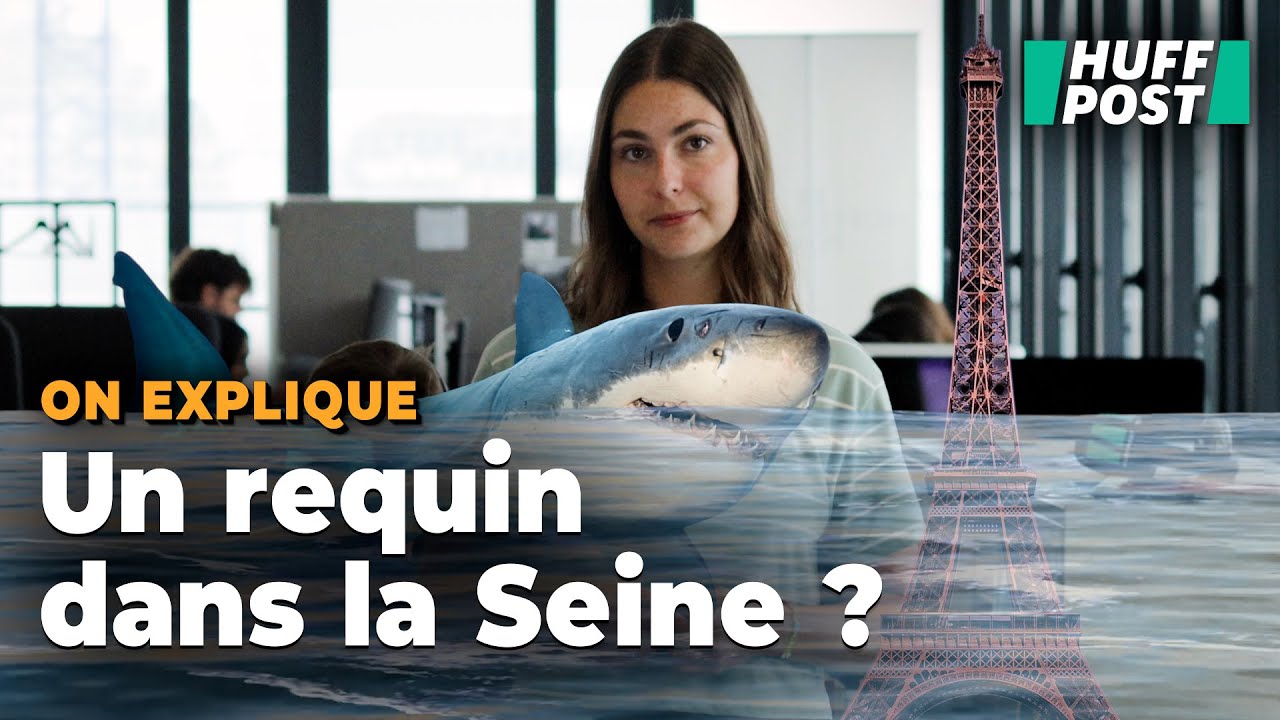Un requin à Paris comme dans « Sous la Seine », c’est vraiment possible ...