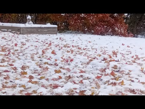 Ahist ahista sari snow khatam ho rahi hai