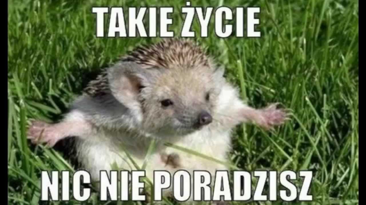 Bezpłatne programy do montażu video - YouTube