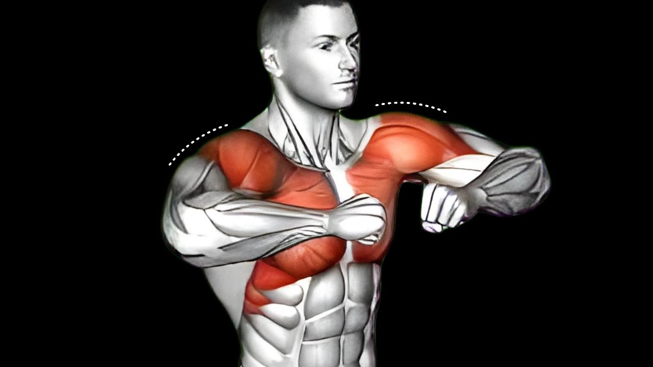 Top 13 Best Exercises for Broad SHOULDERS (no equipment) - YouTube
