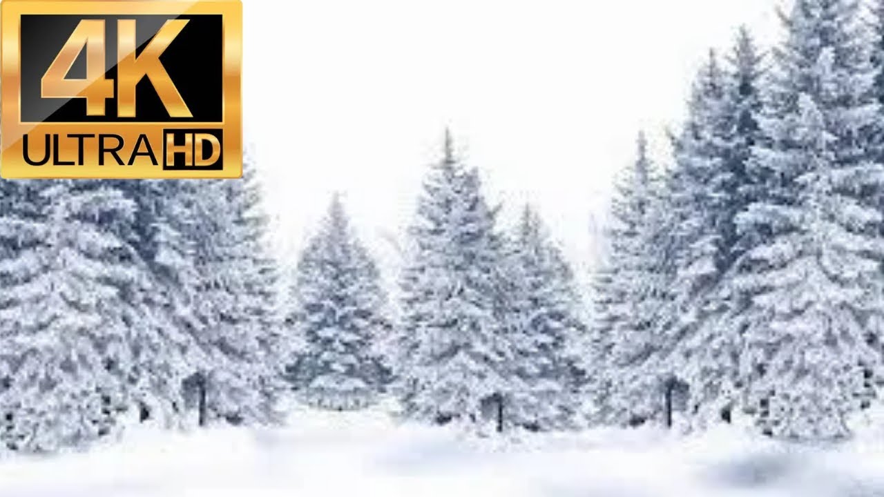 Light Snow Storm with Relaxing Sounds of Wind and Snow Falling Over the ...