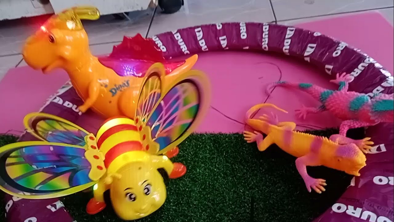 รีวิวผึ้งเต้นรำ Dancing Bee Review - YouTube