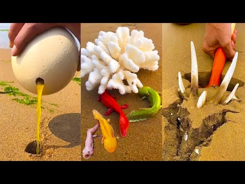 Fishing Videos - Catching Seafood Include Fish, Crab, Octopus #123 - Tik Tok