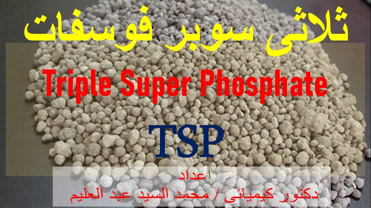 معادلة تحضير ثلاثى سوبر فوسفات Triple Super Phosphate (TSP) - YouTube