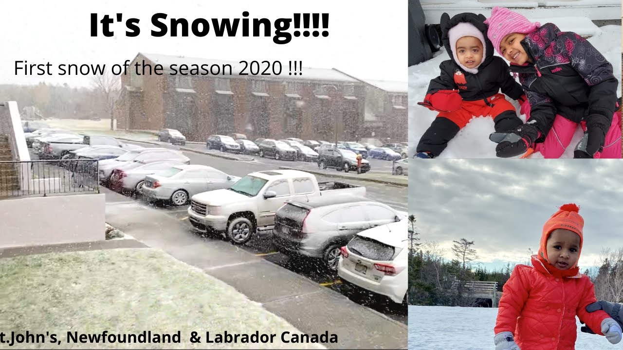 First snow fall🥰 , an amazing feeling!! St.John's, Newfoundland ...