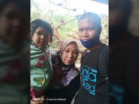 Jalan jalan ke taman safari tapi tiket nya hilang