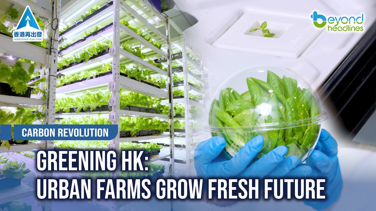 [Carbon Revolution] Greening HK: Urban Farms Grow Fresh Future - YouTube