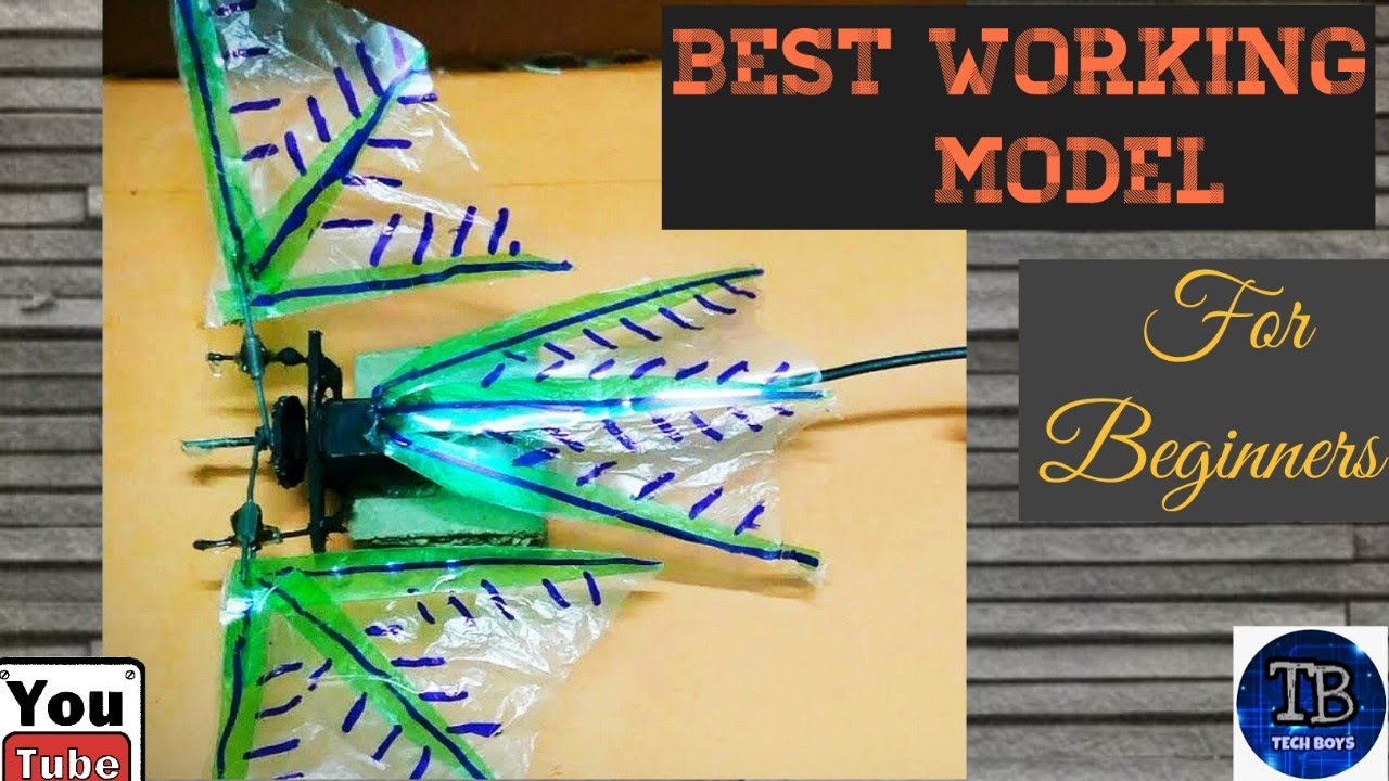 How to make a working model of bird ll with USB Port , Best science ...