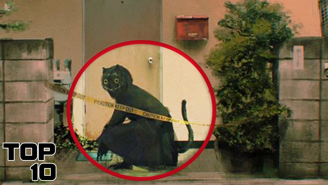 Top 10 Scary Encounters In Abandoned Places - YouTube