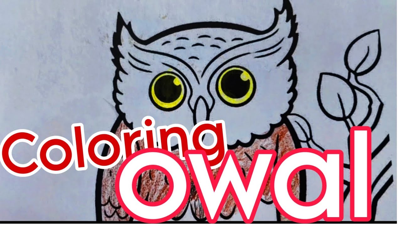 Kid coloring owal with color pencils | Coloring images | kids video ...