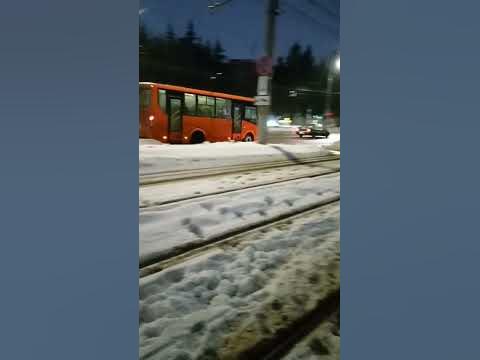 паз вектор-некст - YouTube