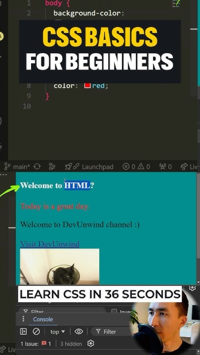 Linking CSS to HTML - YouTube