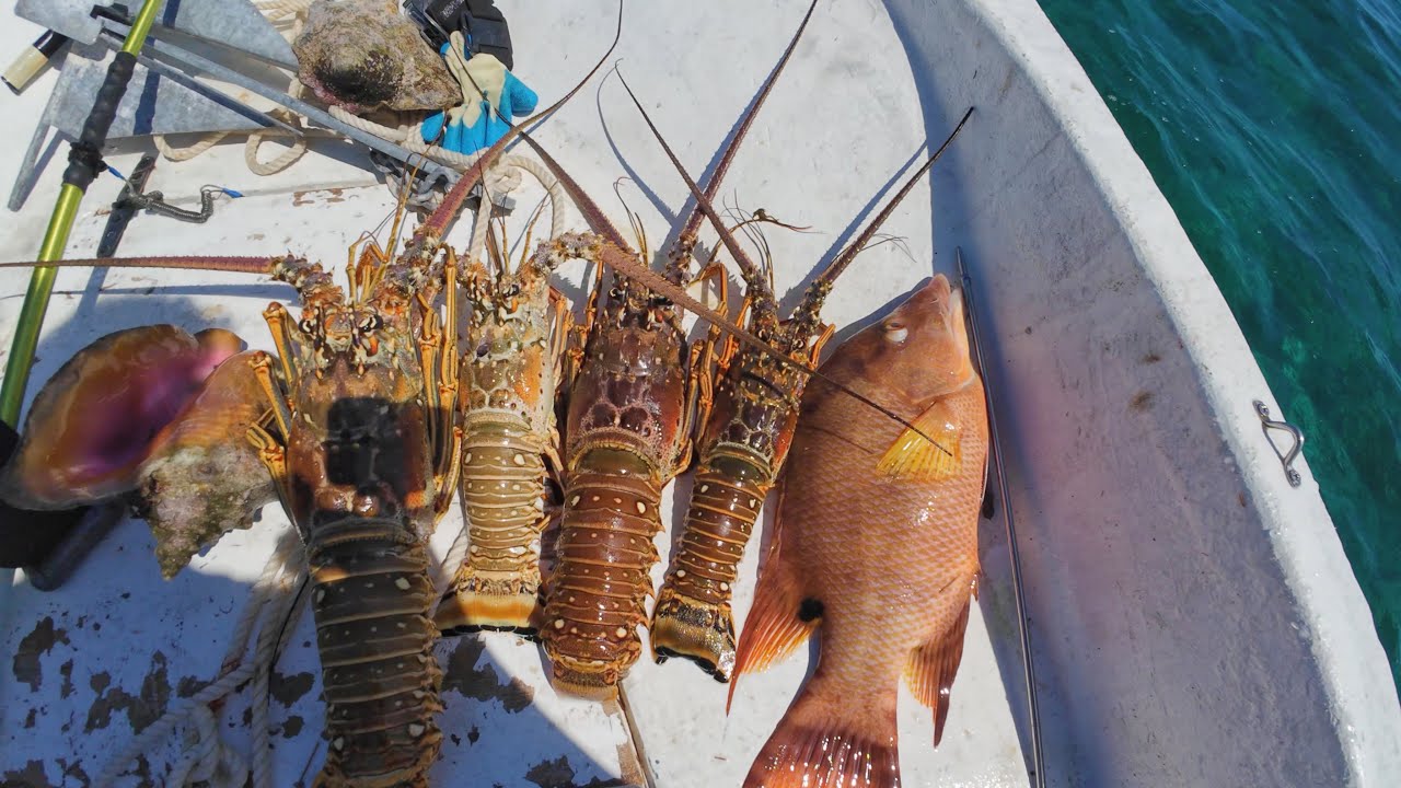 Still Waters, Delicious Lobsters: A Peaceful Catch & Cook Journey - YouTube
