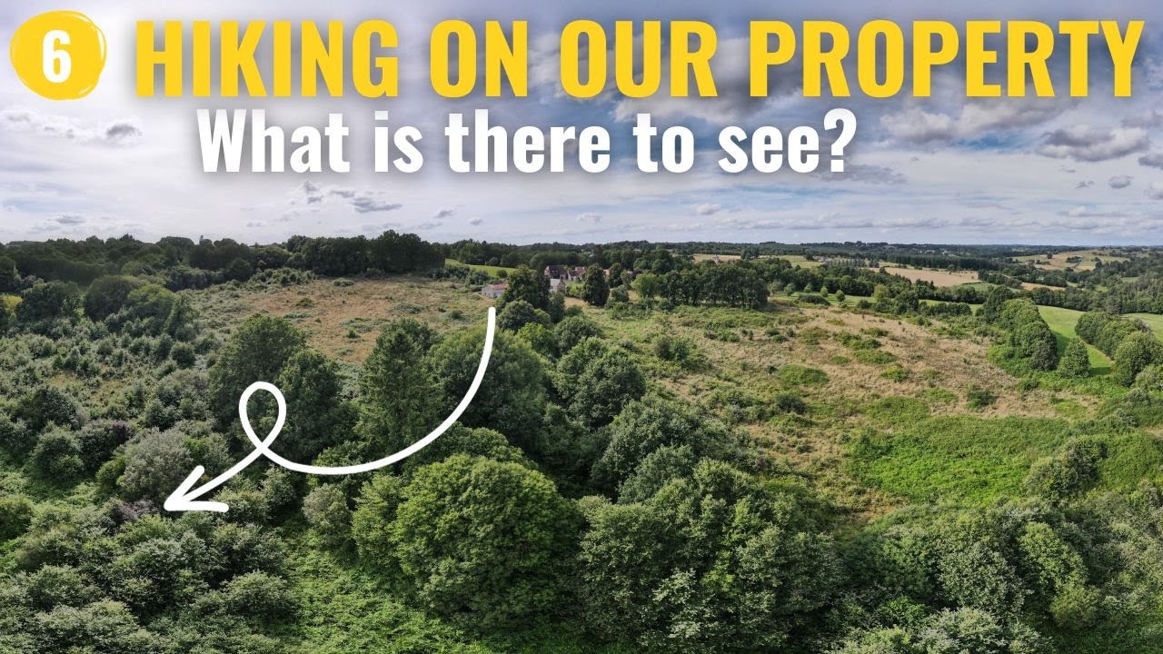 6 - What Amazing Things Will We Discover On Our Land? Exciting Hike 🥾 ...