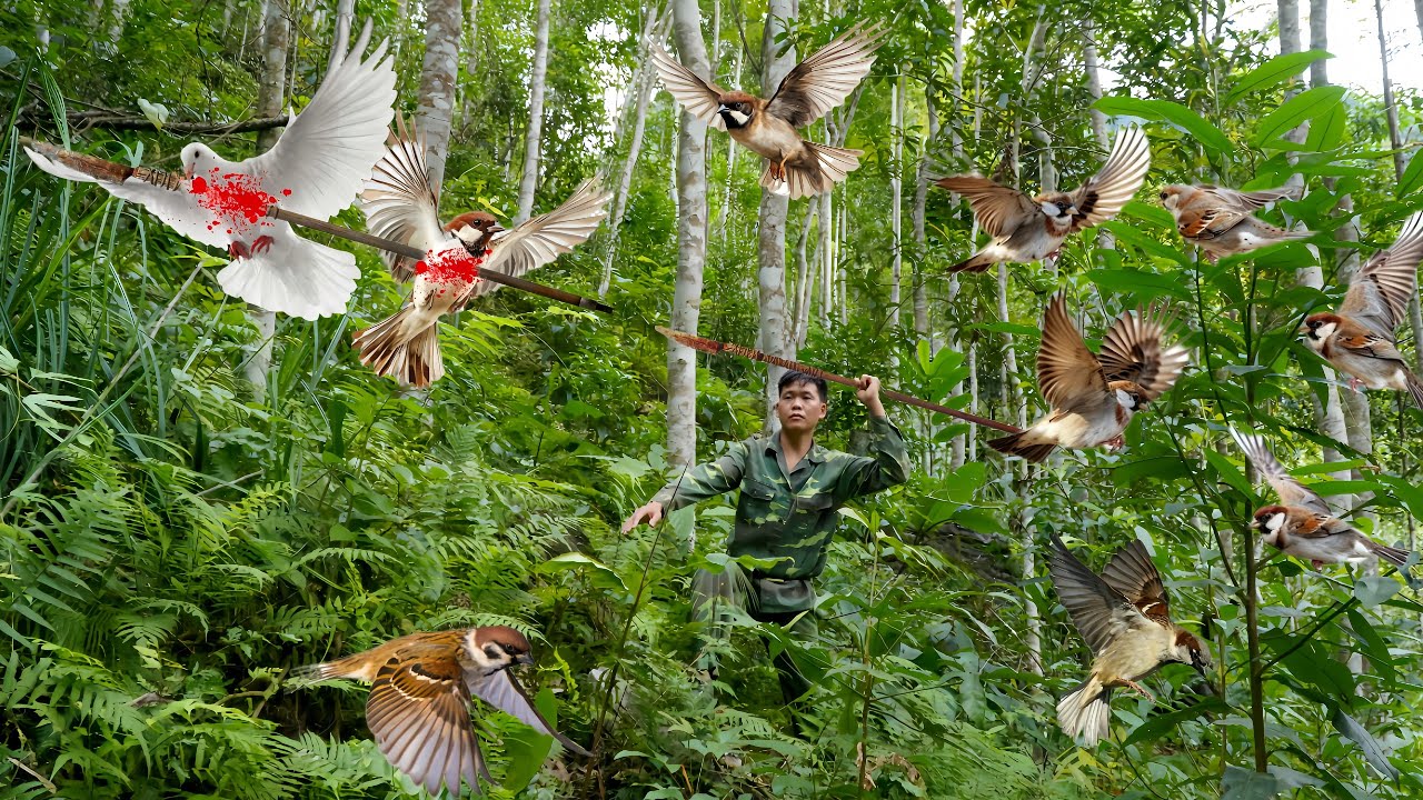 wilderness survival, Using rudimentary traps to catch wild animals ...