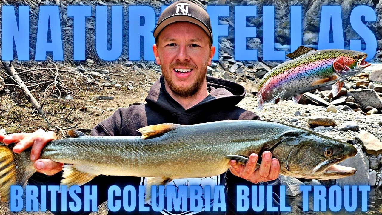 INCREDIBLE BC TROUT FISHING TRIP | Bull Trout | Rainbow's | Lake Trout ...