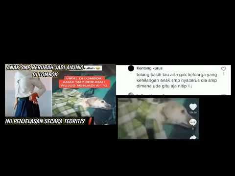 LAGI VIRAL -SISWI SMP LOMBOK BERUBAH WUJUD JADI SE'EKOR ANJING