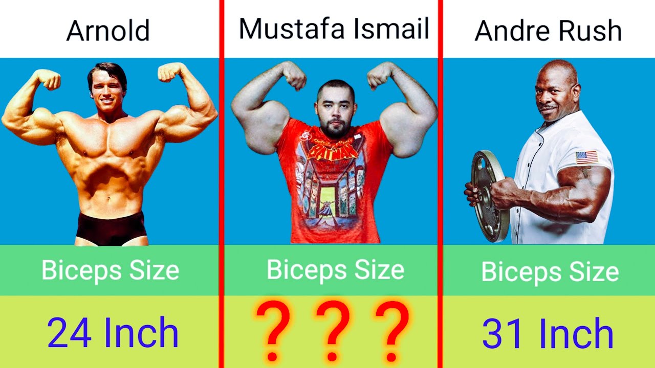 Biggest Arms Size Of Bodybuilders - YouTube