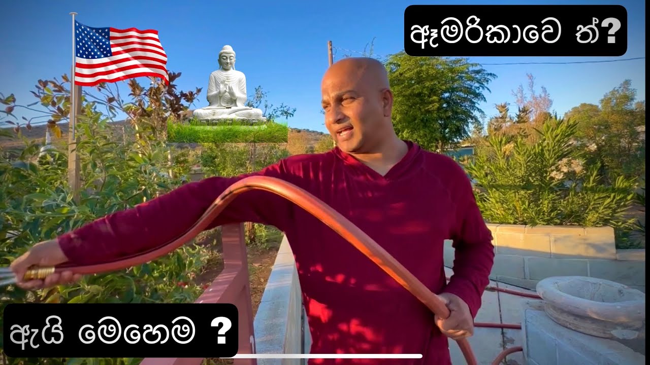 🔴🇺🇸කාන්තාරයෙ ගස් එකින් එක පෙලට 🌴 | A Conversation with Ven. Shantha 🙏🔴😪 ...
