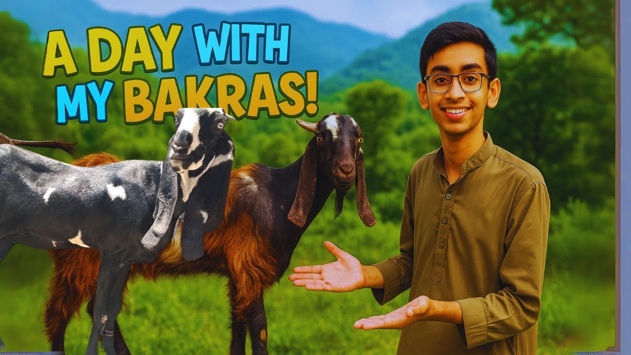 A Day with My Bakras 🐐 | Funny Moments, Feeding, and Eid Prep Vlog ...