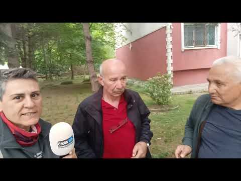 Yahya Kaptan'daki ağaç kesimi hakkında konuştular