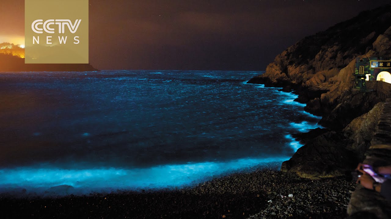 Spectacular "blue tear" phenomenon lights up E China coastline - YouTube