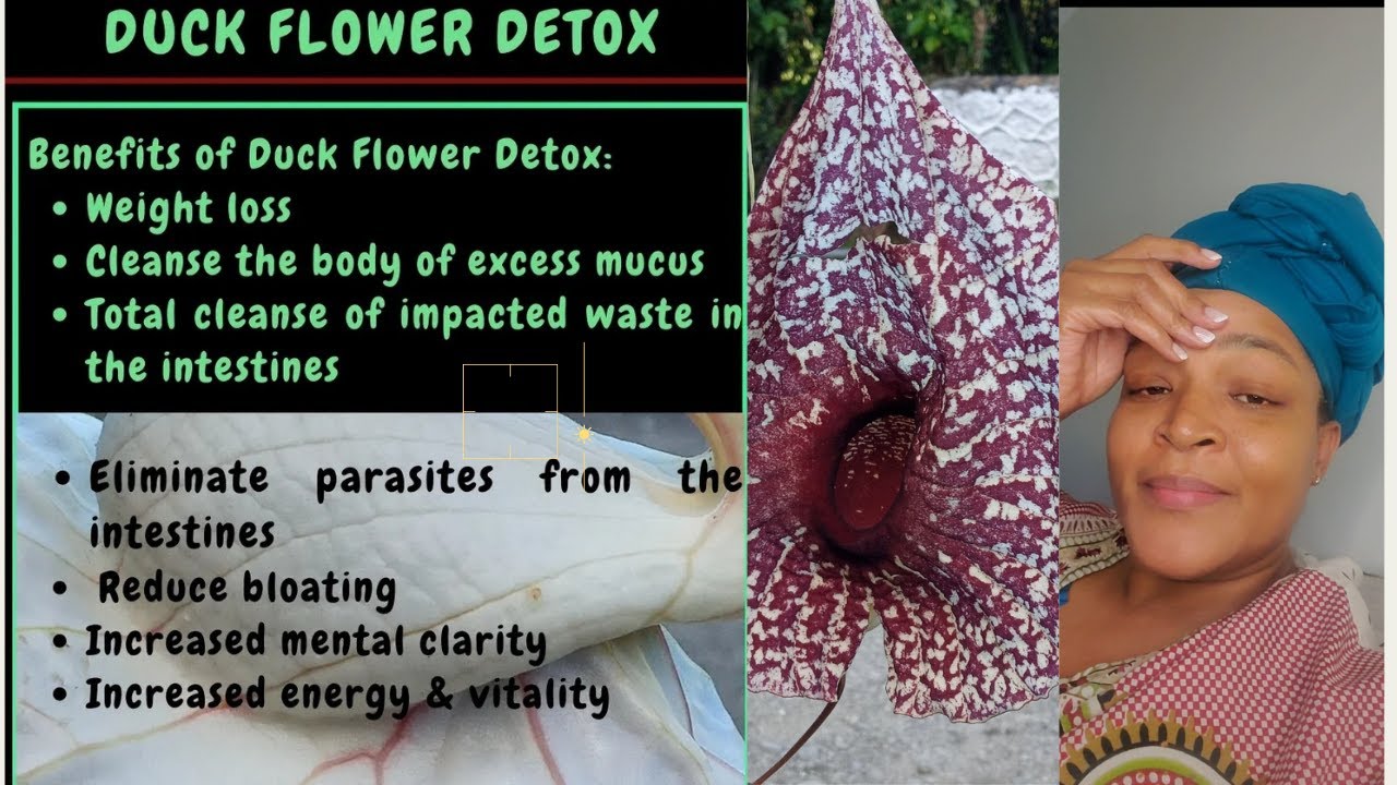 I SURVIVED THE MOST AGGRESSIVE & VIOLENT DETOX EVER!! Duck Flower Detox ...