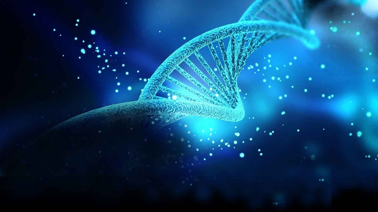 ACTIVATE Your DNA AND How Will It Change You? - YouTube