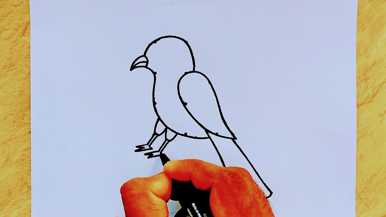 How to draw a Bird from dots easy step by step // Easy Bird Rangoli ...