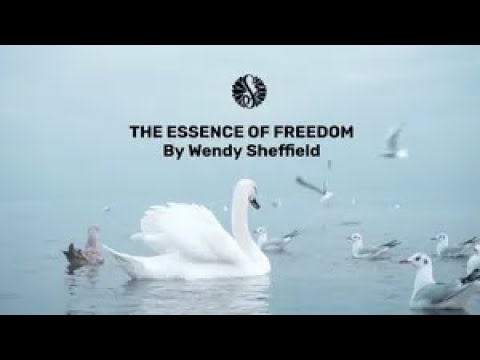 The Essence of Freedom by Wendy Sheffield - YouTube