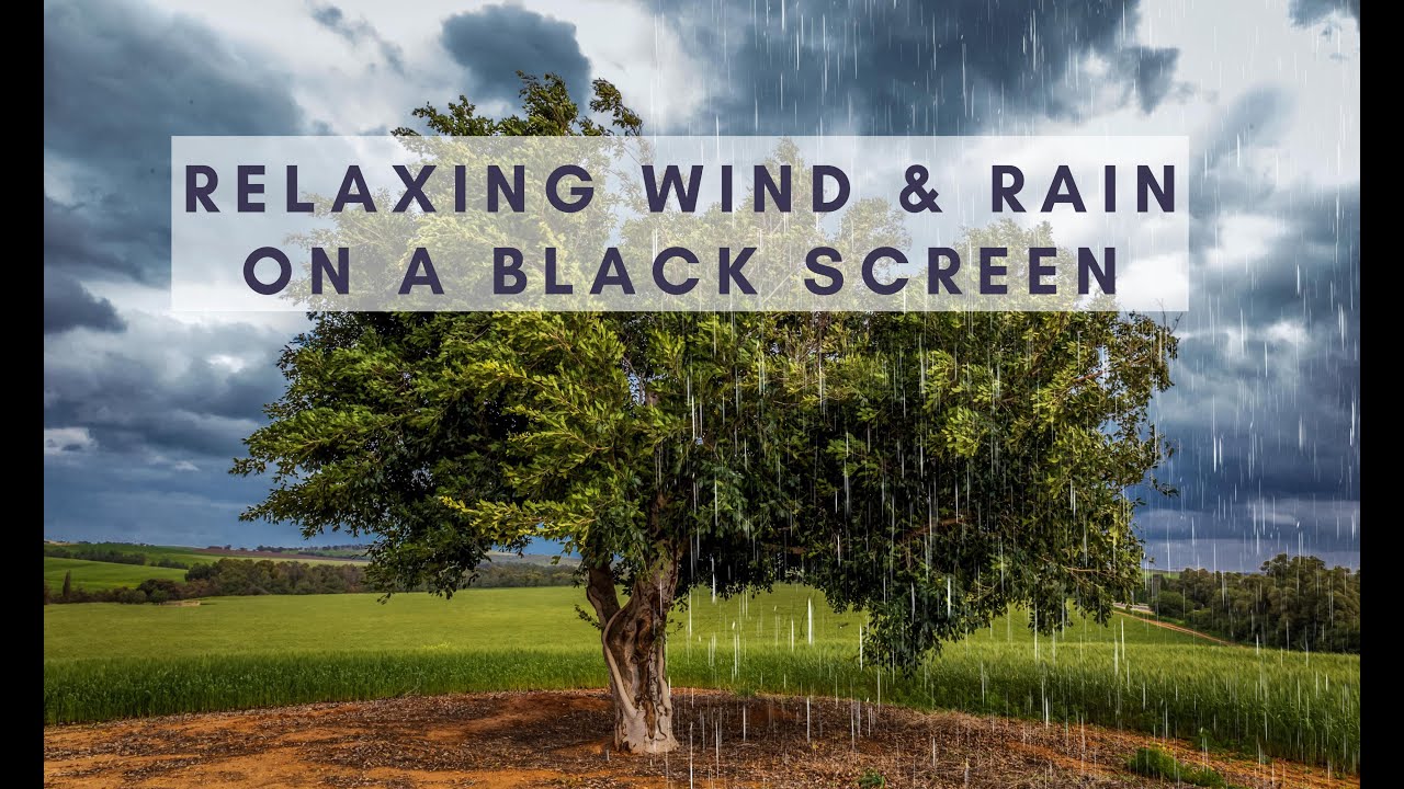 Relax & Sleep Better With Peaceful Wind With Gentle Rain 1 HR Black ...