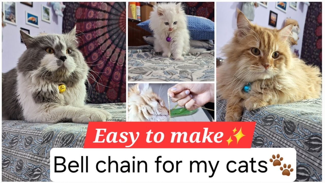 Easy to make bell chain for cats ||CUTE bell chain for kittens|| # ...