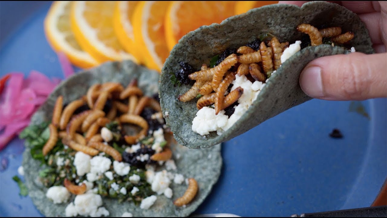 Bugs for Breakfast | California Academy of Sciences - YouTube