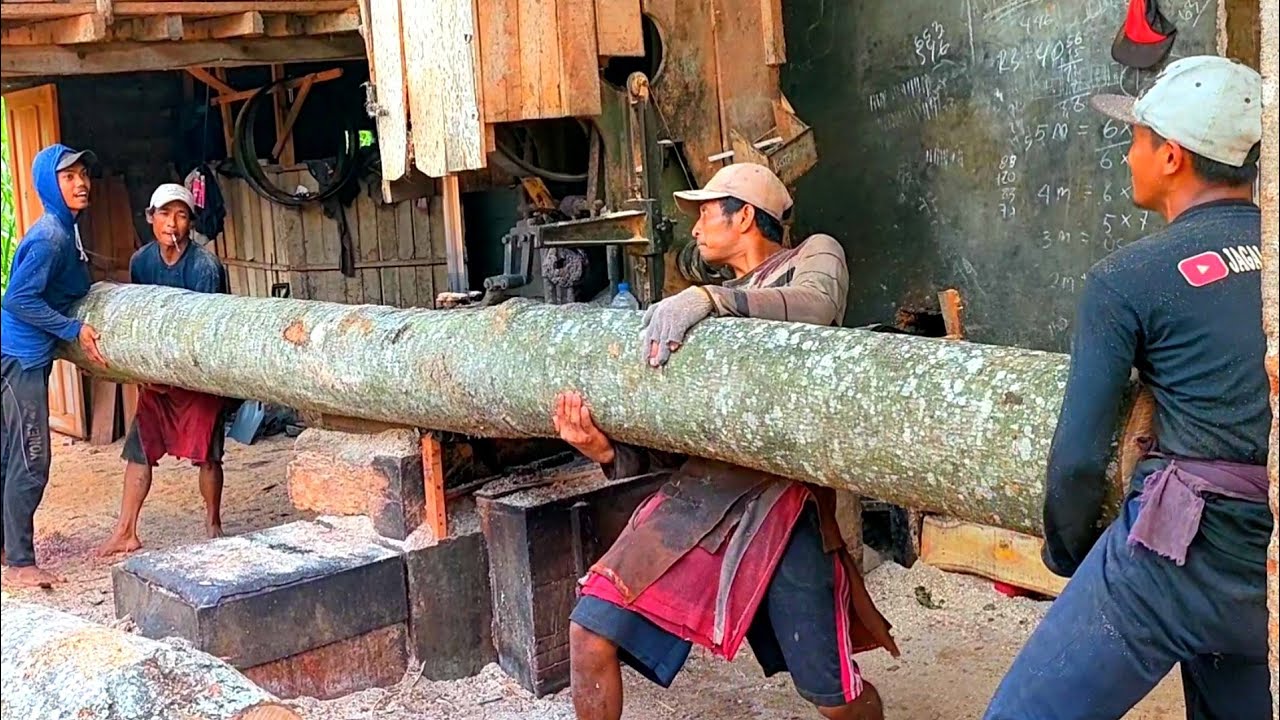 Tembakan Jitu,,! Kayu model begini untung si Boss pasti Berlipat - YouTube