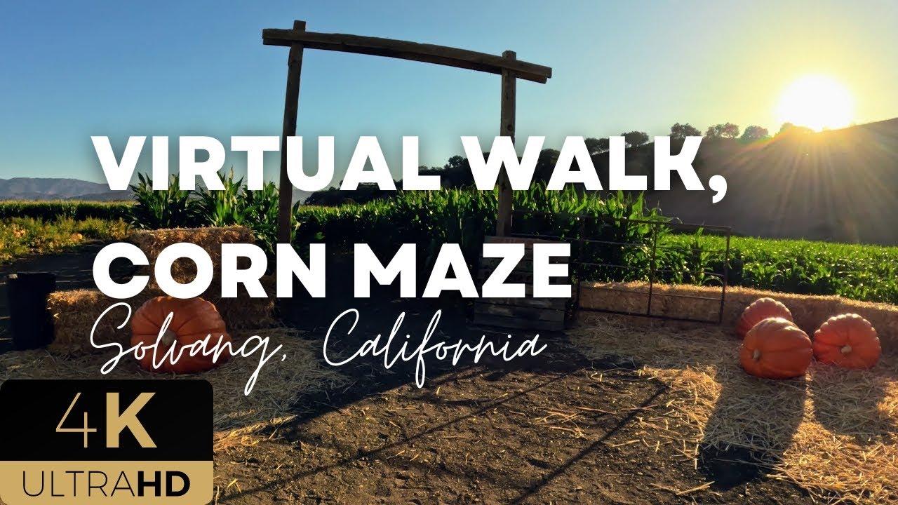 4K Virtual Walk, Pumpkin Patch and Corn Maze, Solvang, California - YouTube