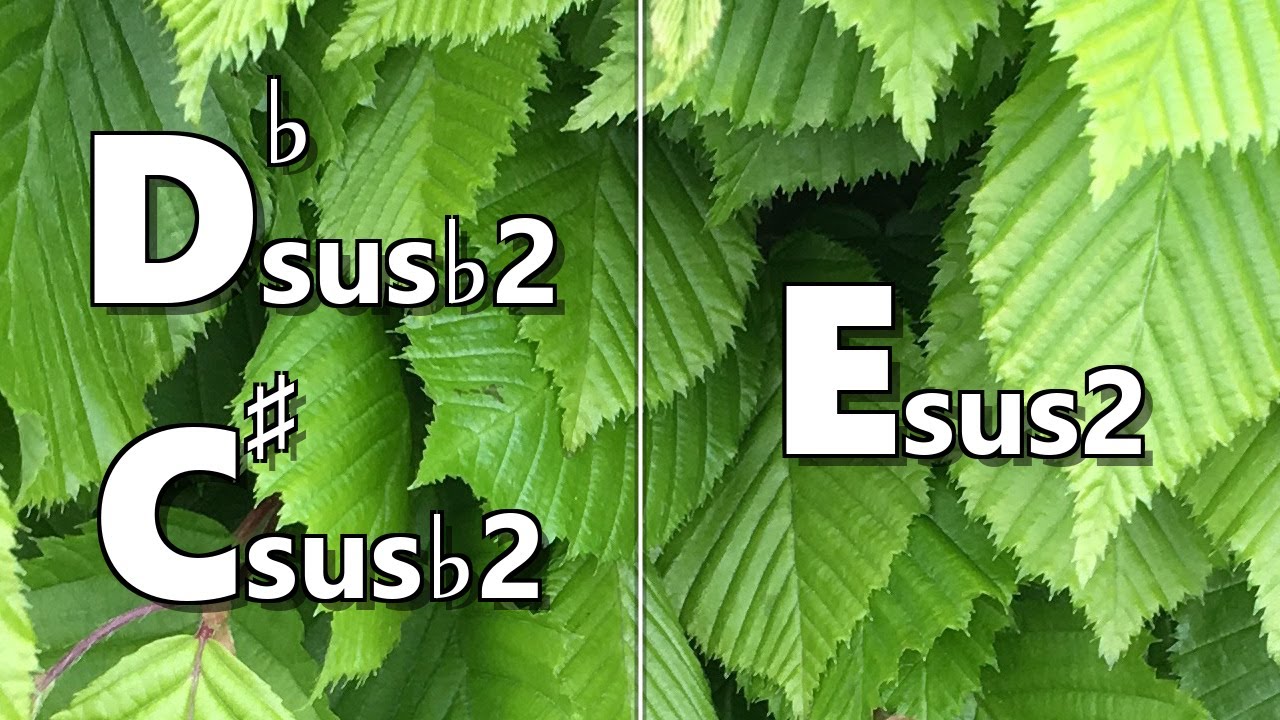 Dbsus b2 (C#sus b2) to Esus2 Backing Track - YouTube