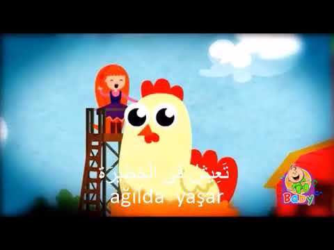 Benim Büyük Tavuğum Arapça Çocuk Şarkısı (Arapça-Türkçe altyazılı)