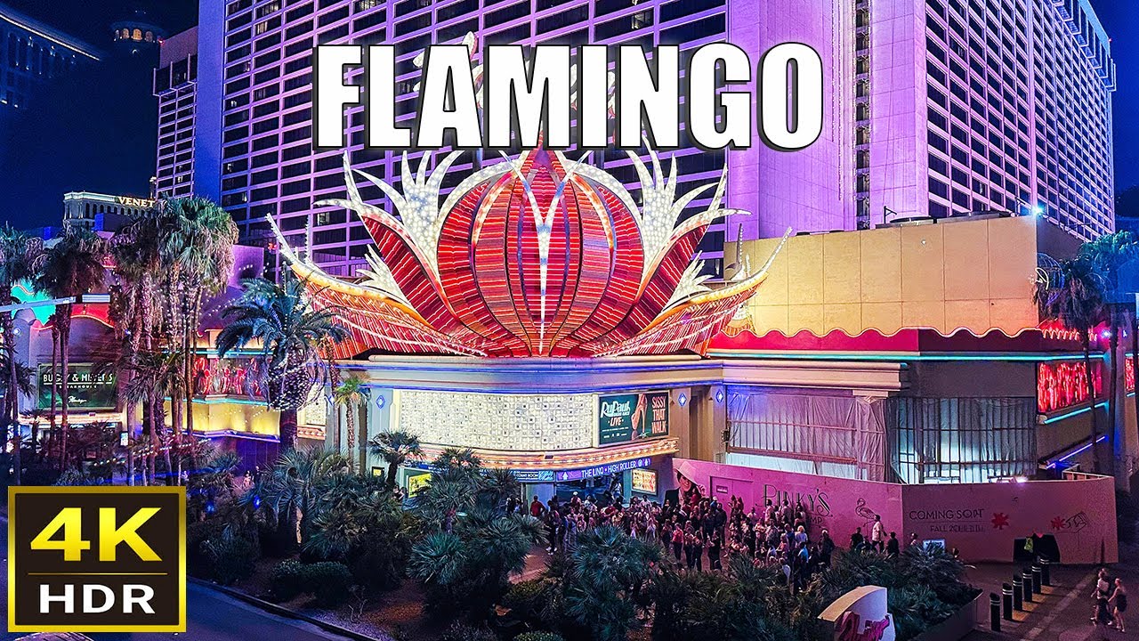 Flamingo Las Vegas Walk - November 2024 - YouTube