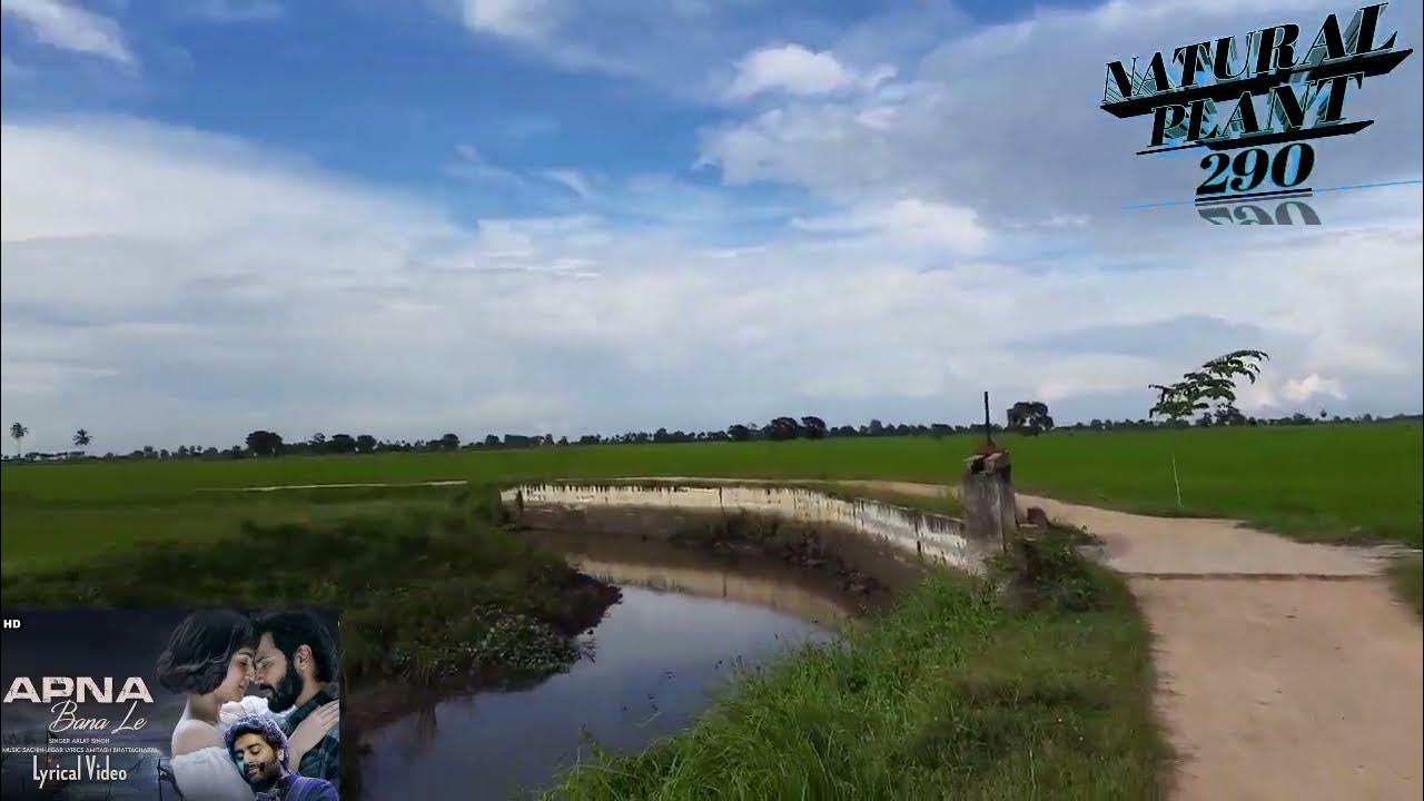 Apna Bana Le Piya || Nature Ride Video in 4K | Nature Beauty Videos 4K | Amazing Scenic Nature ...