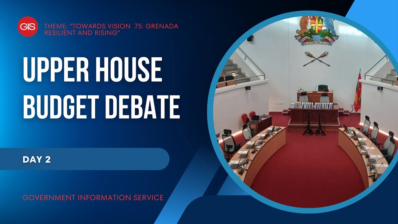 Senate Budget Debate | March 20th, 2025| Afternoon Session | Day 2 ...