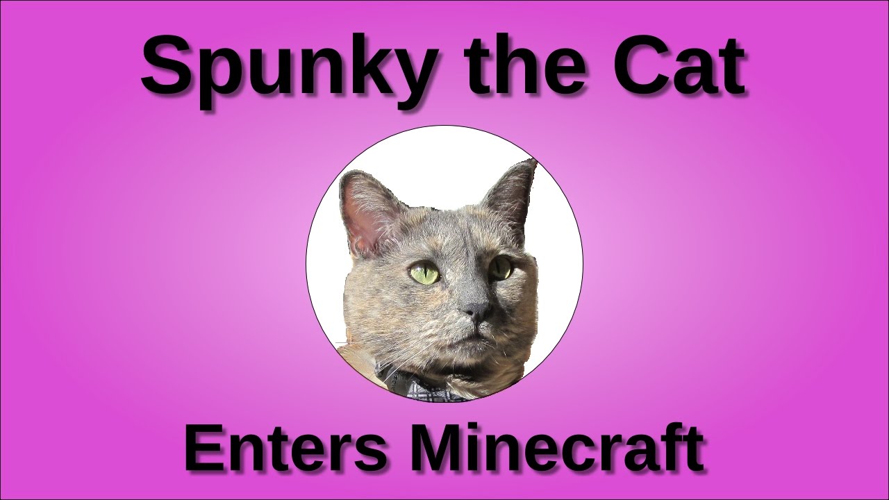 Spunky the Cat - Enters Minecraft - YouTube