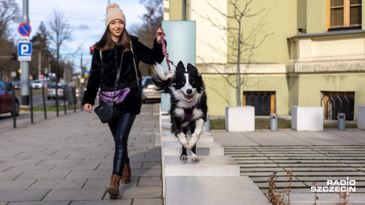 Alicja i jej Muza czyli Dog Dance - YouTube