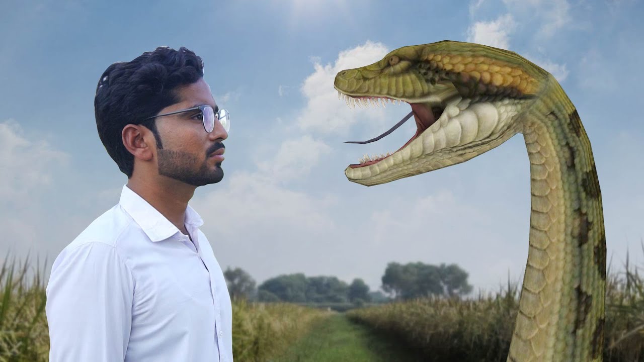 Anaconda Snake Attack In Real Life | Spix Tv - YouTube