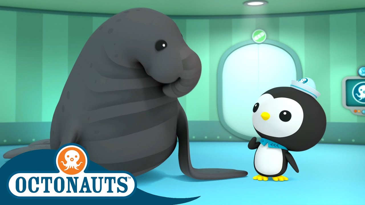@Octonauts - The Octopod's Enormous Guest | Cartoons for Kids ...