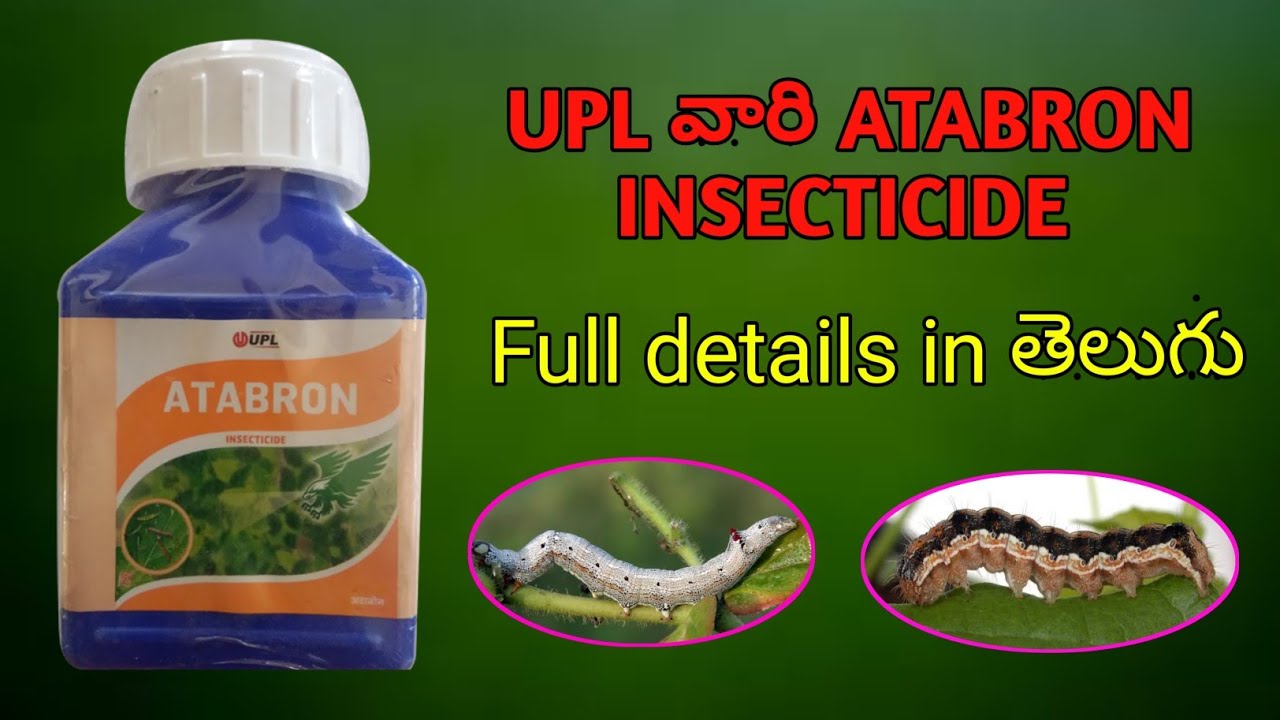 upl atabron insecticide || Chlorfluazuron 5.4% EC || upl atabron full ...