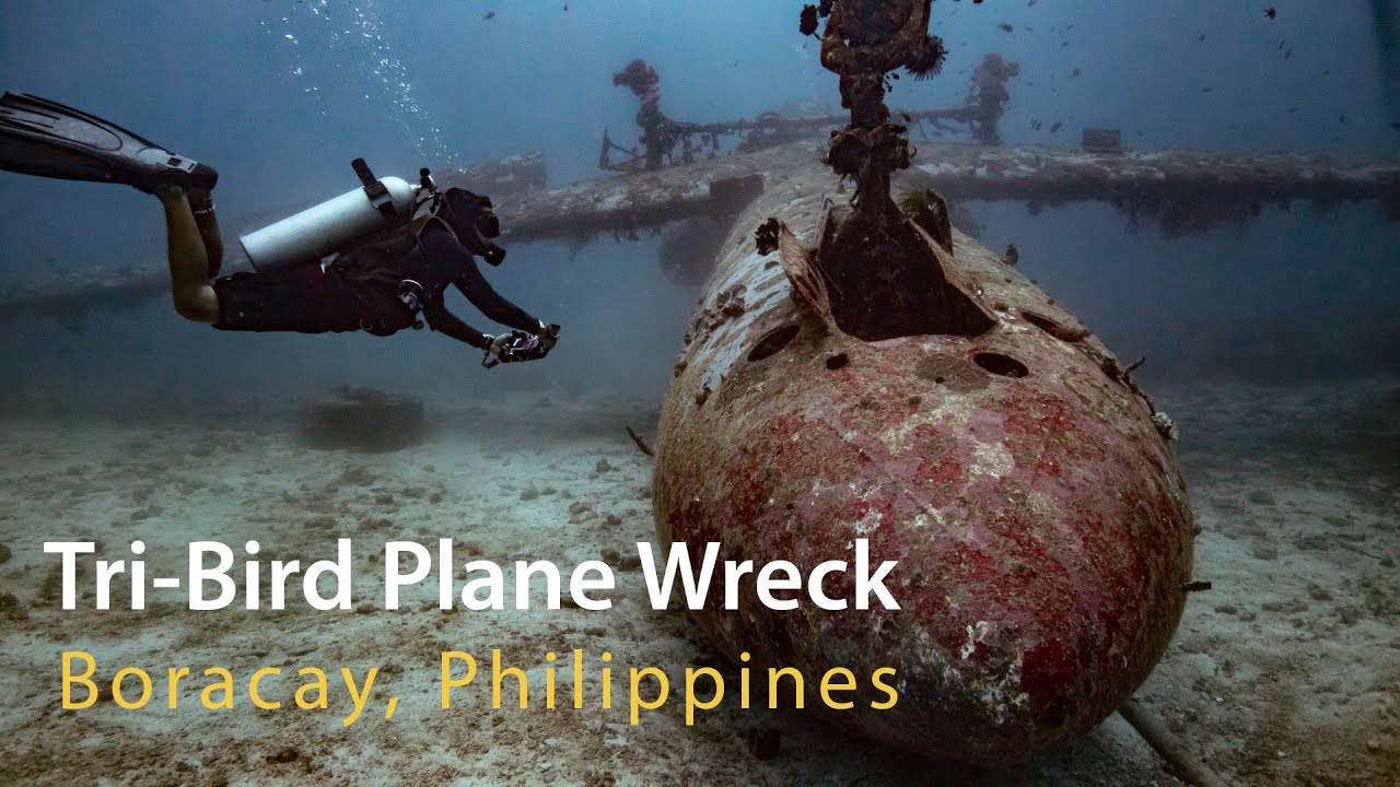 Travel Philippines - Diving Boracay Tri Bird Plane Wreck - YouTube