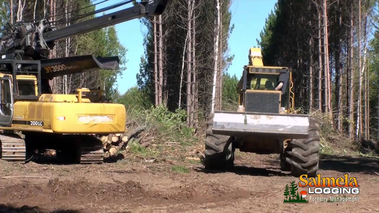 Skidder, Logging in Minnesota - YouTube